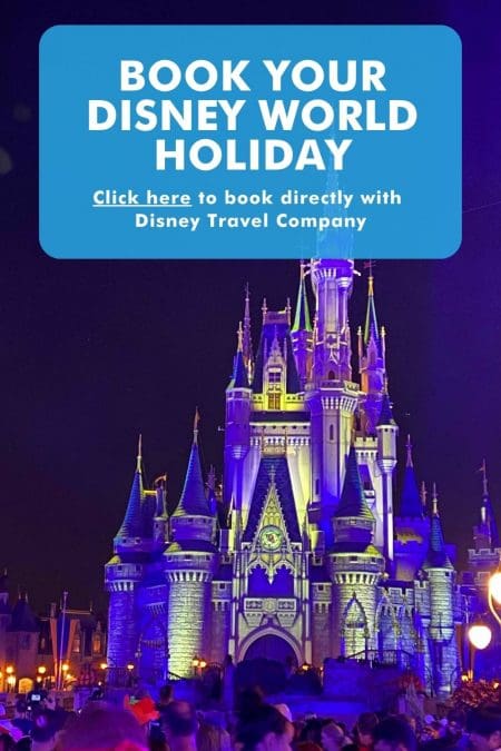 The Story Behind the Magic: How Walt Disney World Was Built | Magical ...